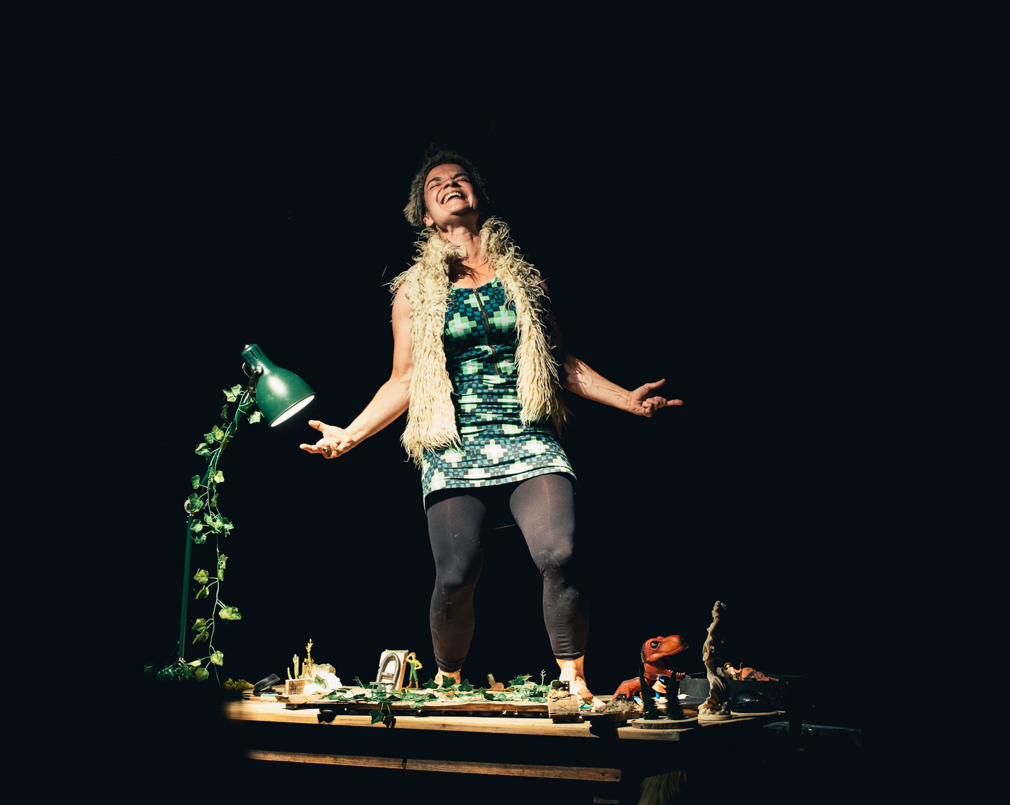 Festival MIMA - CC Pays de Mirepoix (09)