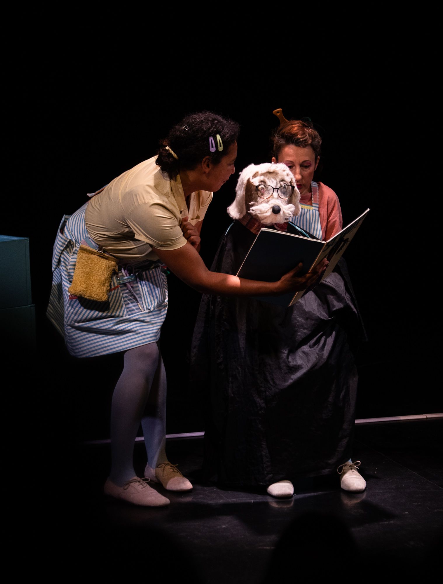 Festival MIMA - CC Pays de Mirepoix (09)